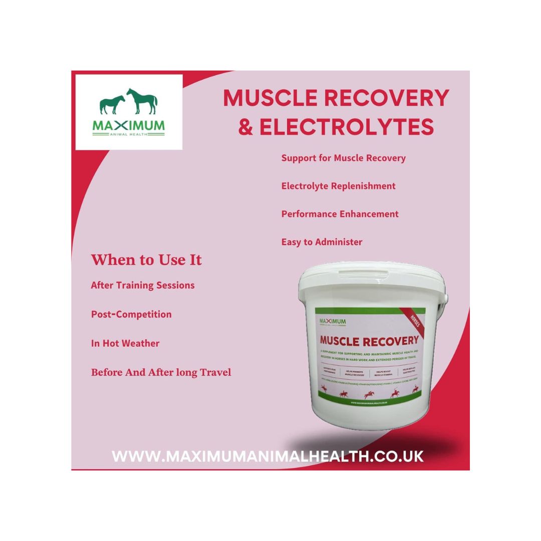 Max Muscle Recovery – Whinny & Woof