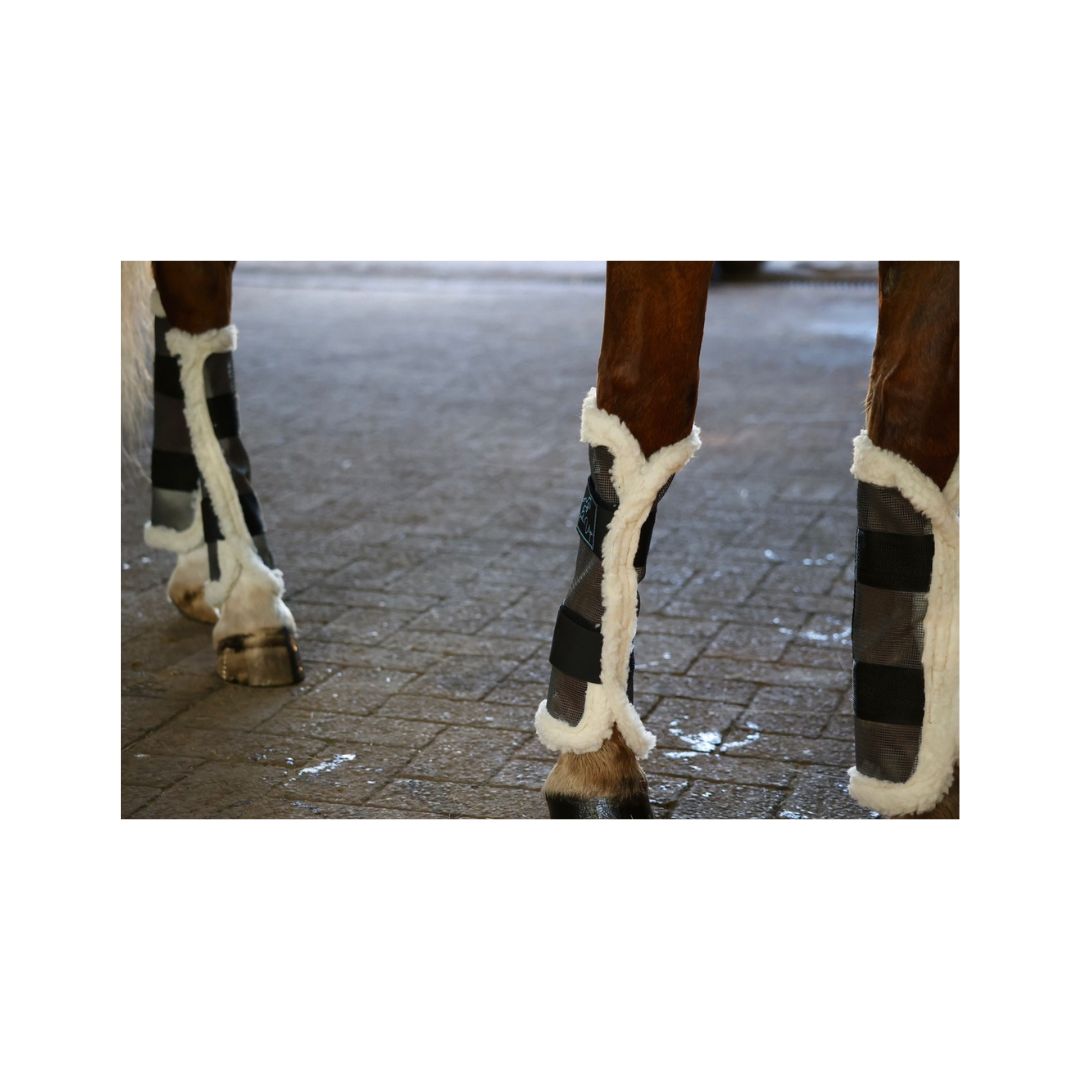 Rugged-Up Fly Boots – Whinny & Woof